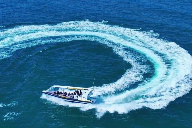 Adventure Rafting - Mooloolaba Turtle Tour - Final Thoughts: Is It Worth It?