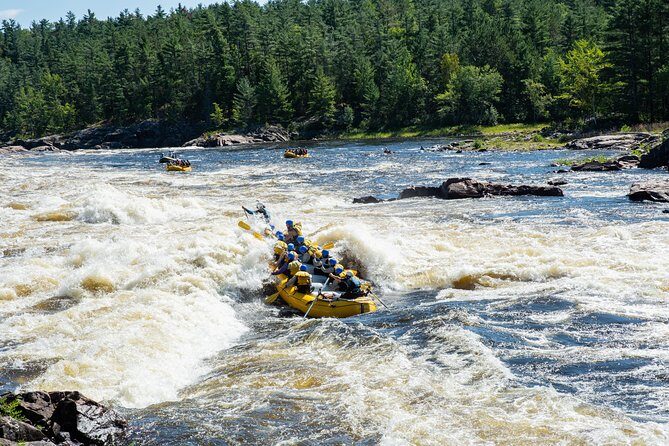 Adventure Rafting on the Ottawa River - An Authentic, Action-Packed Day on the Ottawa River