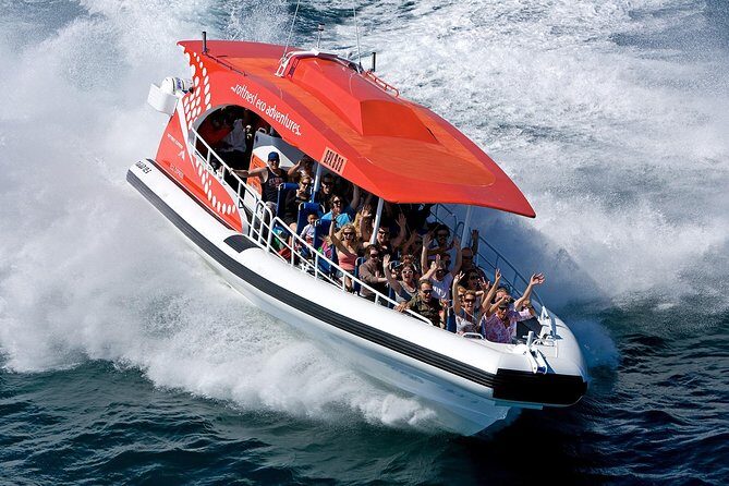 Adventure Rottnest Tour with Ferry & Adventure Cruise - Final thoughts