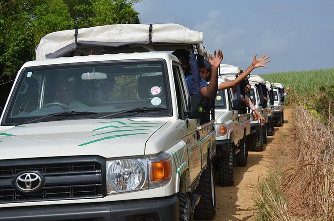 Adventure Safari - FAQs