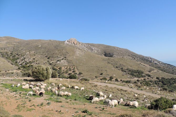 Adventure Safari Tour Secrets of the southern Crete - FAQ