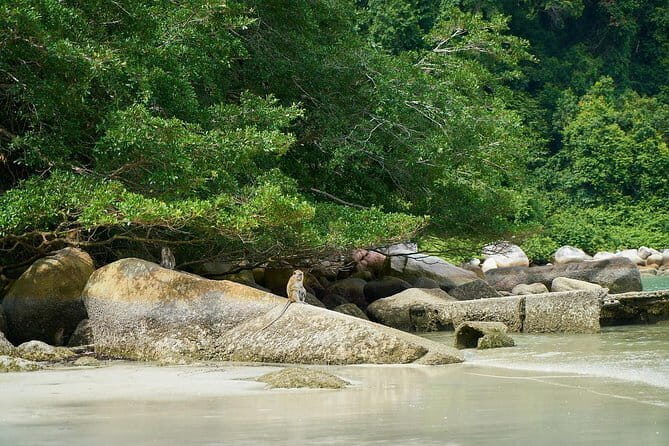 Adventure Sports & Thrilling White-water Rafting in Kampar River - Who Should Consider This Experience?