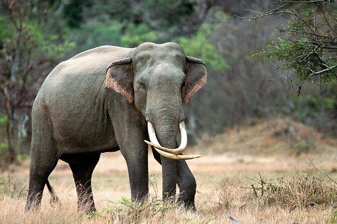 Adventure Sri Lanka ( 5N/6D) - Travel Tips