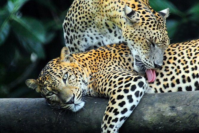 Adventure Sri Lanka ( 5N/6D) - Final Thoughts