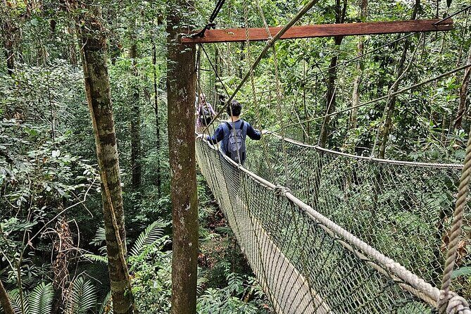 Adventure Taman Negara Tour From Kuala Lumpur - Detailed Breakdown of the Itinerary