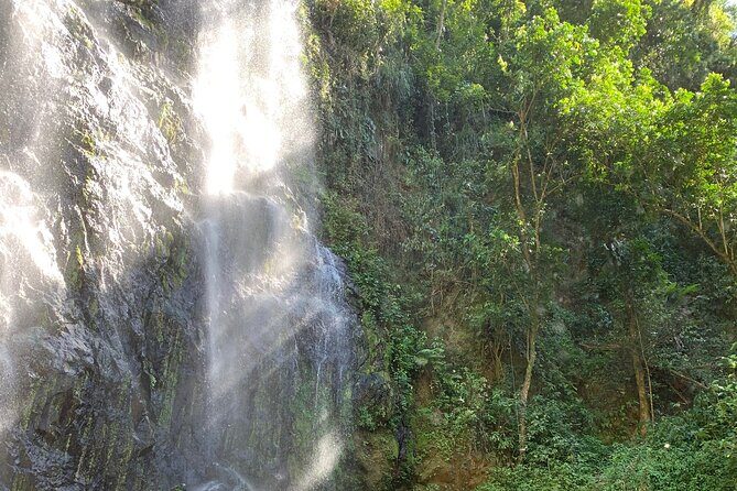 Adventure to a Hidden Waterfall, Private Tour - Exploring the Details of the Tour