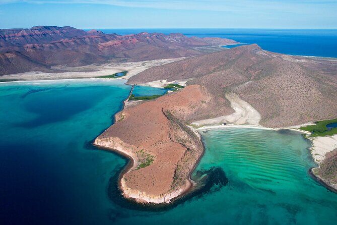 Adventure to Espiritu Santo Island: Snorkel with Sea Lions and Beach - An In-Depth Look at the Tour Experience