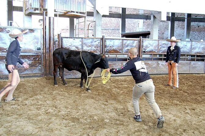 Adventure tour Between Charros, Mariachi and Parián de Tlaquepaque - The Sum Up: A Genuine Cultural Snapshot