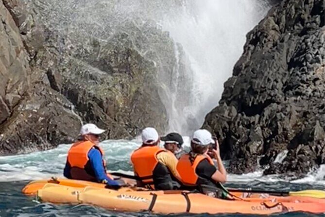 Adventure Tour in Kayak at La Bufadora with Lobster, Oyster Feast - The Sum Up