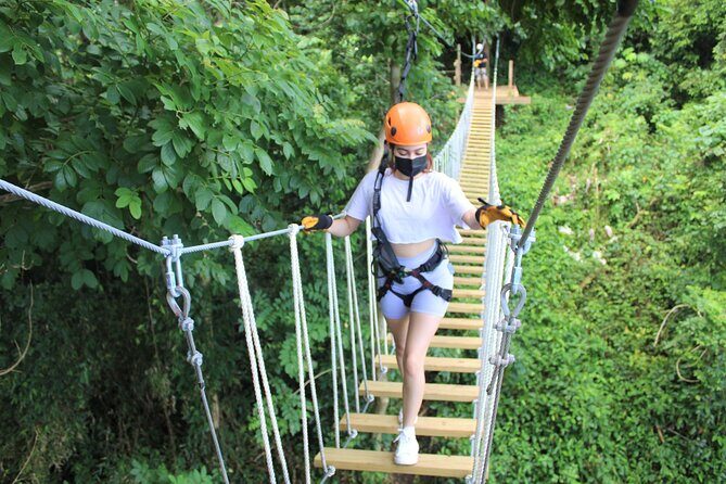 Adventure Trail Tour in the foothills of the National Rainforest - The Itinerary in Detail