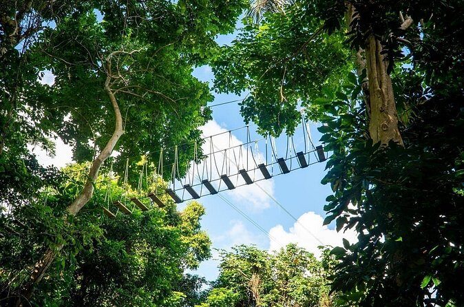 Adventure Trail Tour in the foothills of the National Rainforest - Practical Tips