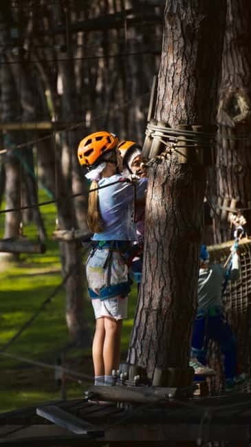 Adventure Trails Ticket - The Real Value: Is It Worth It?