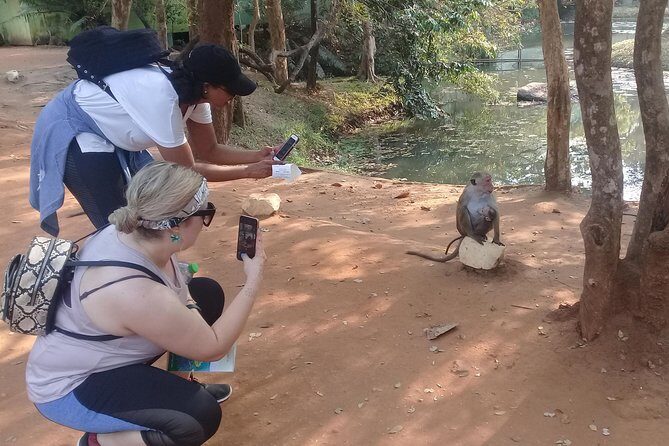 Adventure trincomalee to sigiriya and wild safari ,village tour - Authentic Traveler Insights from Reviews