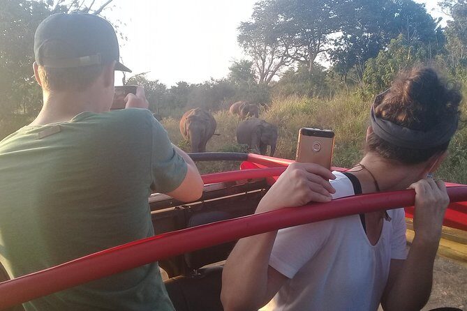 Adventure trincomalee to sigiriya and wild safari ,village tour - Final Thoughts: Who Will Love This Tour?