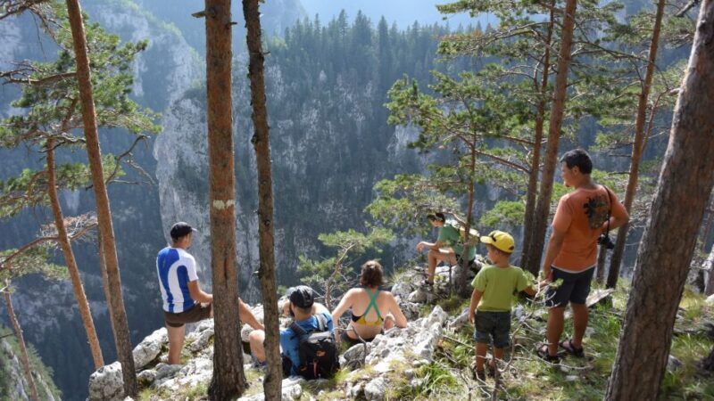 Adventure trip from Iasi: Hiking in the Carpathian Mountains - The Sum Up: Who Should Consider This Tour?