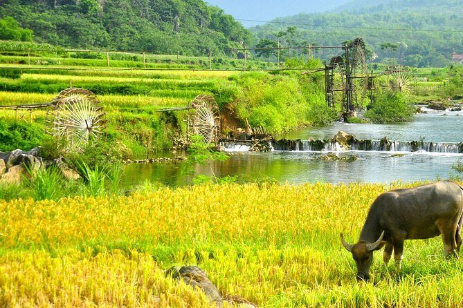 Adventure Trip To Pu Luong Retreat (Private Tour 2 Days 1 Nights ) - Practicalities and Additional Info