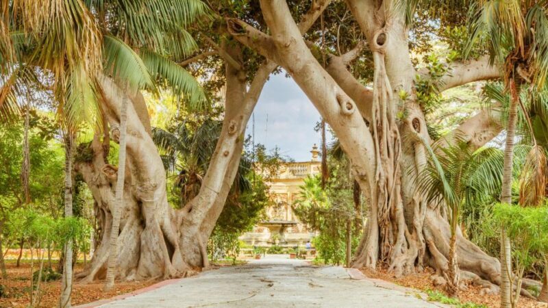 Adventures in Malta: Thrills, History, and Natural Beauty - Final Thoughts