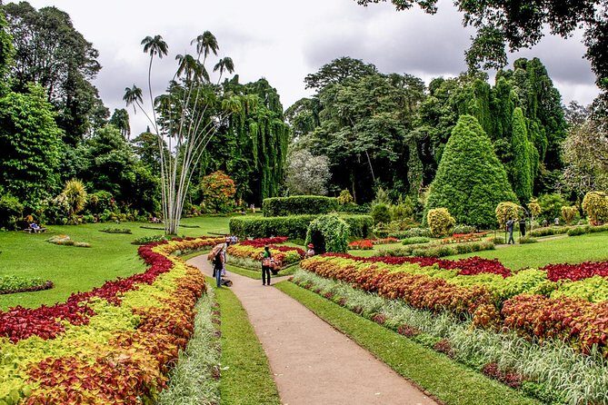 Adventures of the Last Kingdom of Sri Lanka - Who Should Consider This Tour?