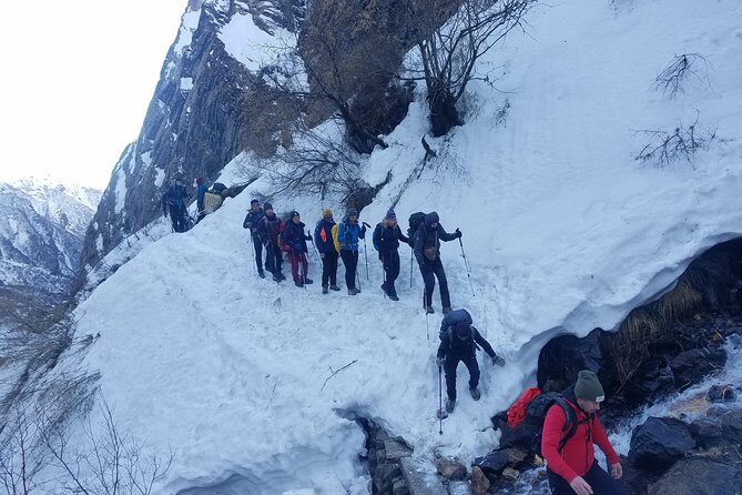 Adventurous Annapurna Base Camp Trekking - What to Expect from the Journey
