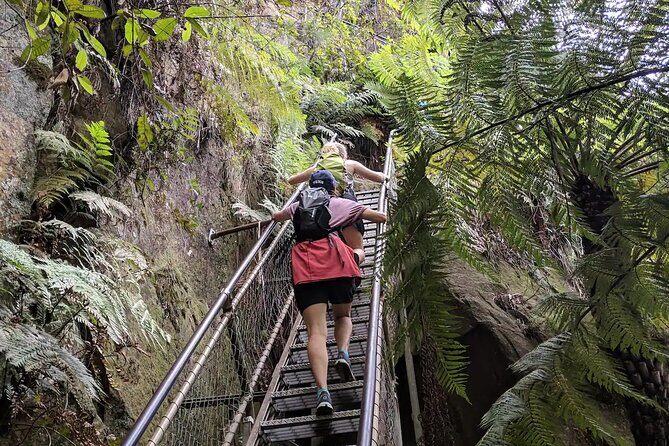 Adventurous Blue Mountains hike up the iconic Three Sisters - Frequently Asked Questions