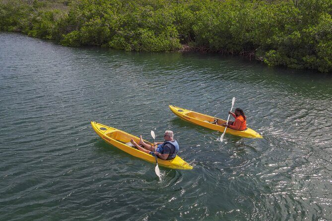 Adventurous Clear Kayak And Snorkeling Tour At Mangel Halto - Pricing and Value