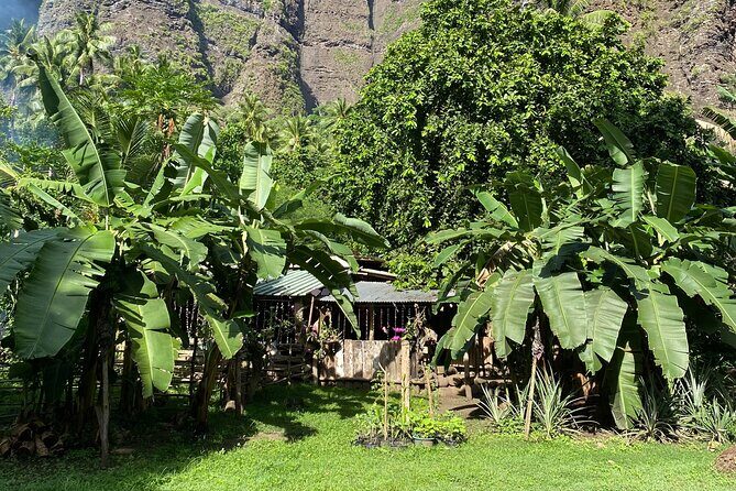 Adventurous Escape to Hakaui Valley - Artistic and Cultural Discoveries in the Afternoon