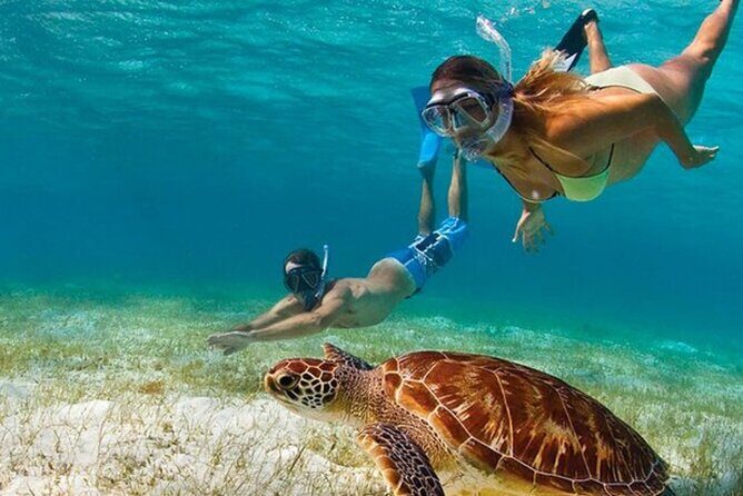 Adventurous-Snorkeling With Sightseeing of Montego Bay - Key Points