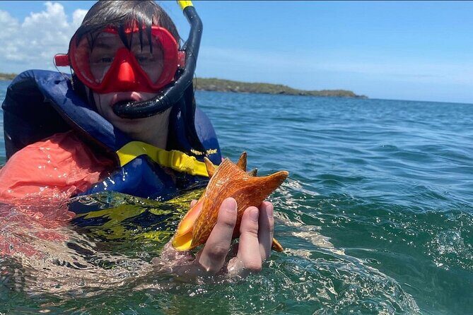 Adventurous-Snorkeling With Sightseeing of Montego Bay - Reviews Insights and Feedback