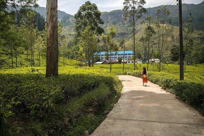 Adventurous Spirit (18 Days) - The Sum Up