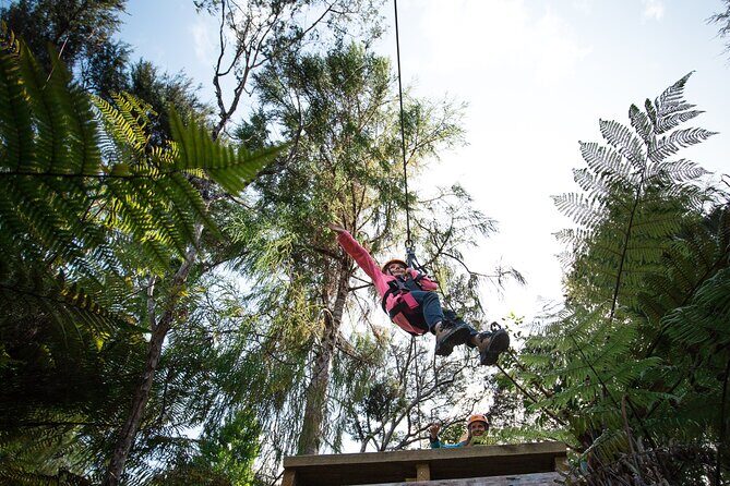 Adventurous Zipline Tour in Coromandel - The Experience’s Highlights and Challenges