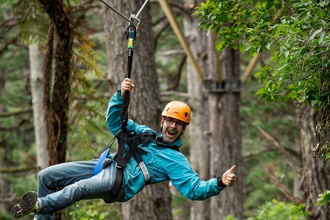 Adventurous Zipline Tour in Coromandel - FAQs
