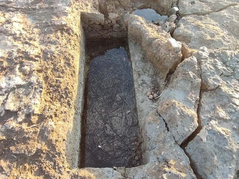 Aegina: Ancient Cemetery, Kapralos, Bouzas Lighthouse Tour - Key Points