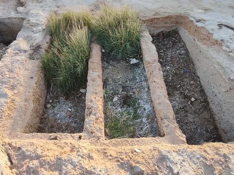 Aegina: Ancient Cemetery, Kapralos, Bouzas Lighthouse Tour - An In-Depth Look at the Aegina Tour
