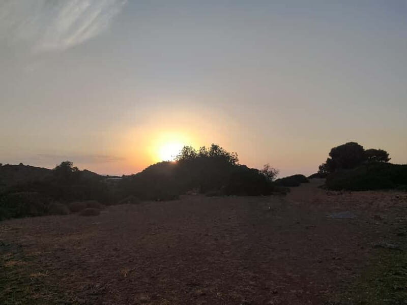 Aegina: Ancient Olive Grove (Eleonas) & Perdika Village Tour - Who Is This Tour Best For?