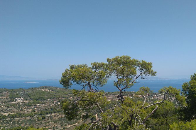 Aegina Island St Nektarios & Temple of Athina Aphaia Private Tour - Key Points