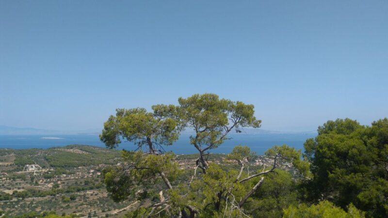 Aegina Island & Temple of Athina Aphaia Private Day Tour - Who Would Love This Tour?