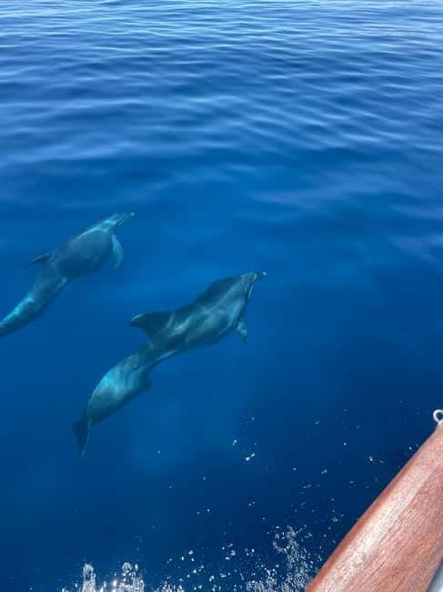 Aegina & Moni: Private Day Cruise - Who Will Love This Tour?
