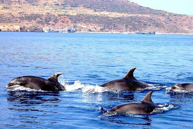 Aeolian Islands - Sailing week with skipper and assistant - Who Should Consider This Sailing Week?