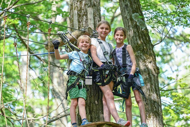 Aerial Adventure Park Admission - The Overview: What’s on Offer?