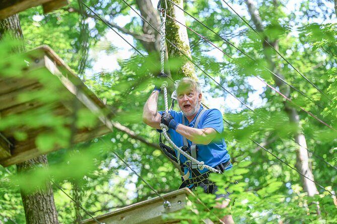 Aerial Adventure Park Admission - The Pros and Cons