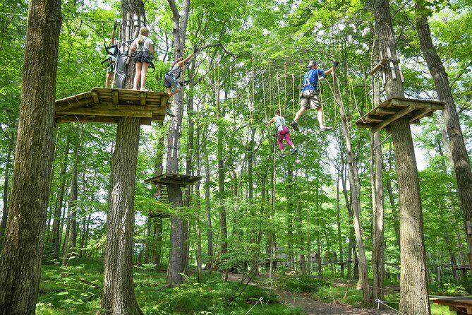 Aerial Adventure Park Admission - Practical Tips