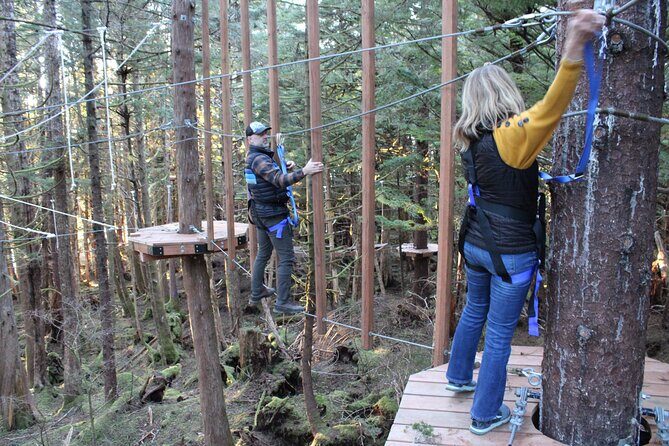 Aerial Adventure Ropes Course in Sitka - Who Will Love This?
