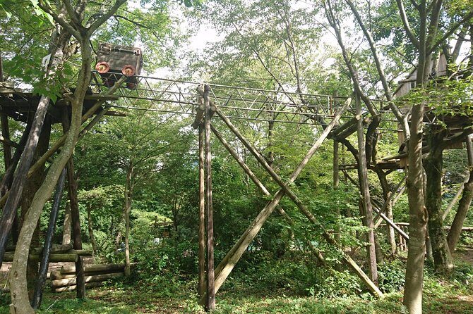 Aerial athletics (Zipline adventure) - Introduction: An Exciting Way to Explore Japan’s Forests