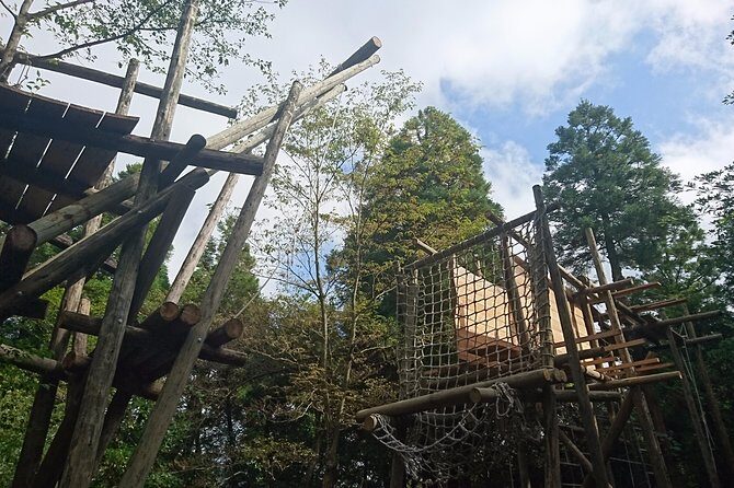 Aerial athletics (Zipline adventure) - Final Thoughts