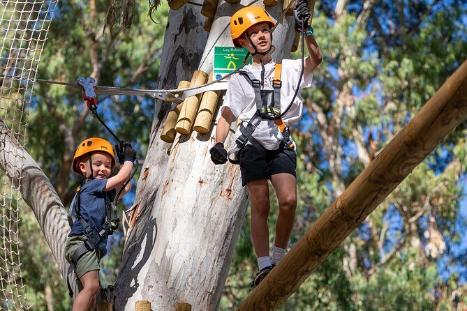 Aerial Fun & Ziplining for Our Littlest Adventurers in Salisbury - What to Expect at the Salisbury TreeClimb Tour