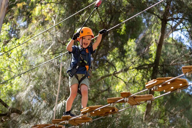 Aerial Fun & Ziplining for Our Littlest Adventurers in Salisbury - Additional Insights from Reviews