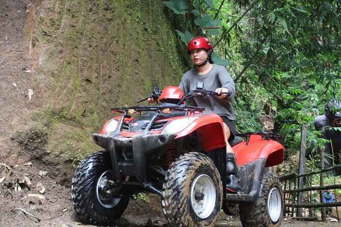 Affordable ATV Quad Bike Adventure In Ubud - The Sum Up