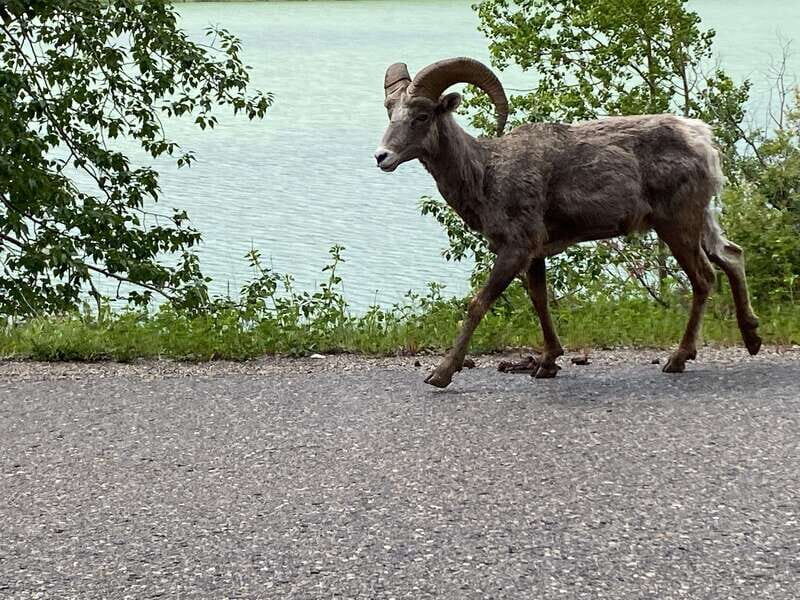 Affordable Banff, Lake Louise & Moraine Lake DayTrip Shuttle - Authenticity and Scenic Beauty