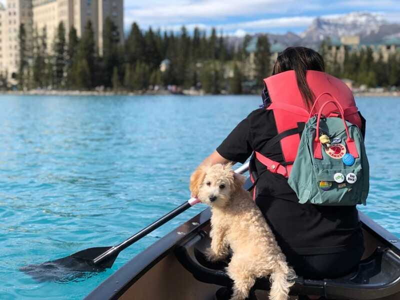Affordable Banff, Lake Louise & Moraine Lake DayTrip Shuttle - FAQs