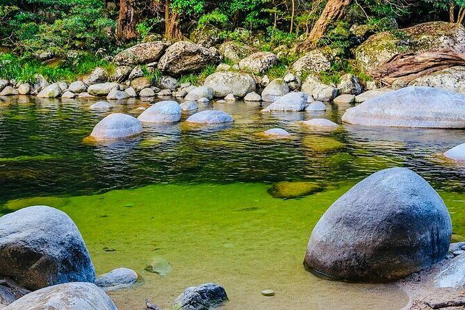 Affordable Return Mossman Gorge from Port Douglas Transfers - Authentic Experiences and Passenger Feedback